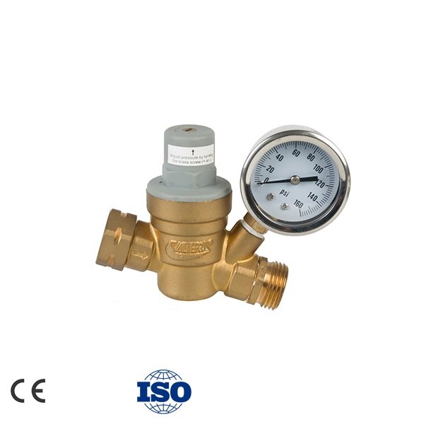 HEAPE: Brass Pressure Regulator Valve Manufacture
